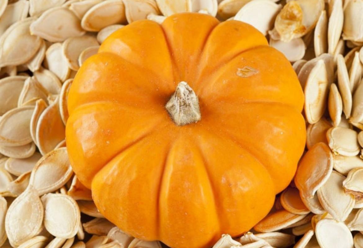 Bundeva značajno utiče na krv u organizmu. Evo na koji način | Cazin.NET