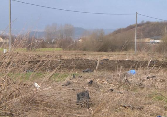 Cazin.NET - Budi informiran!