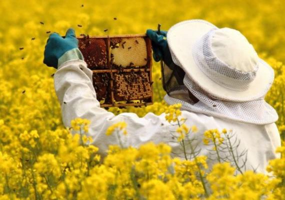 Cazin.NET - Budi informiran!