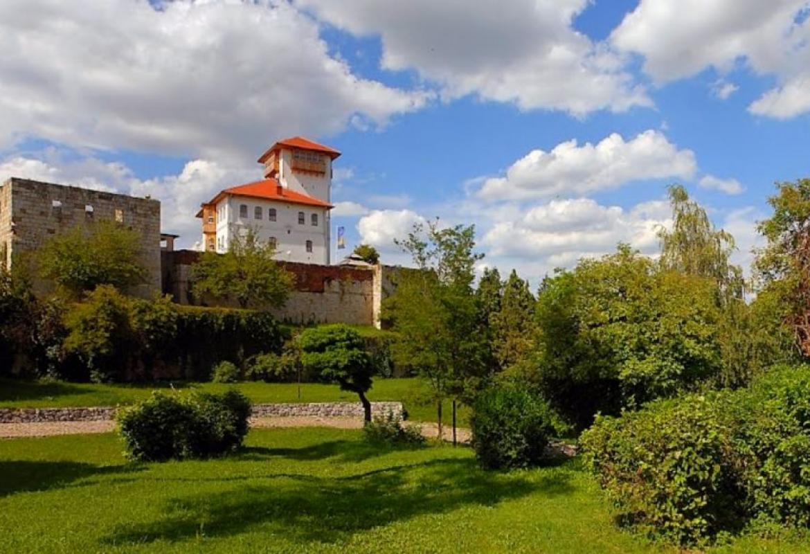 Tuzlanski istraživači žele posmrtne ostatke Zmaja od Bosne vratiti u BiH
