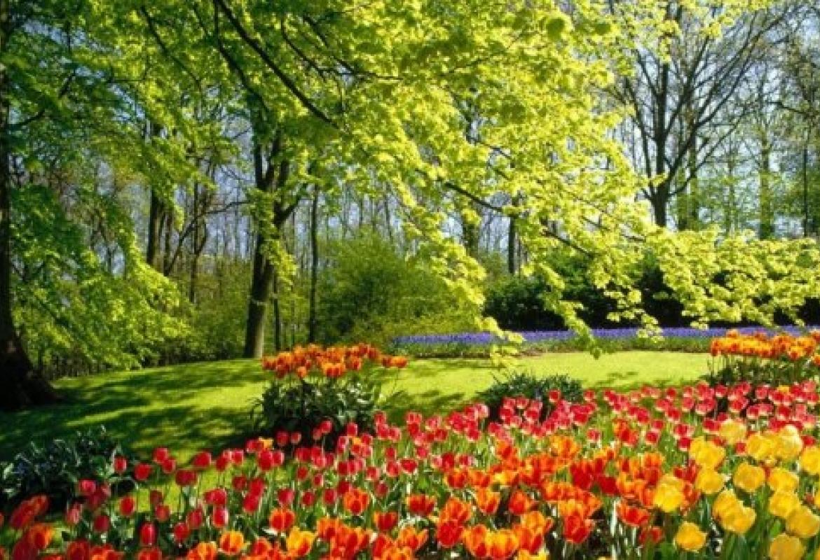 Uživajte u sunčanom vikendu: U ponedjeljak i do 29 stepeni