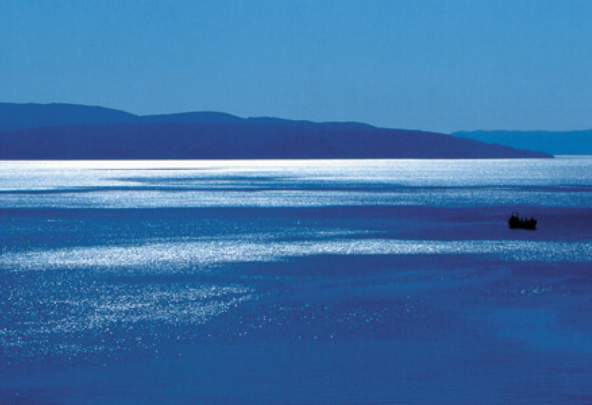 U Jadranskom moru ima više od 30 vrsta ajkula