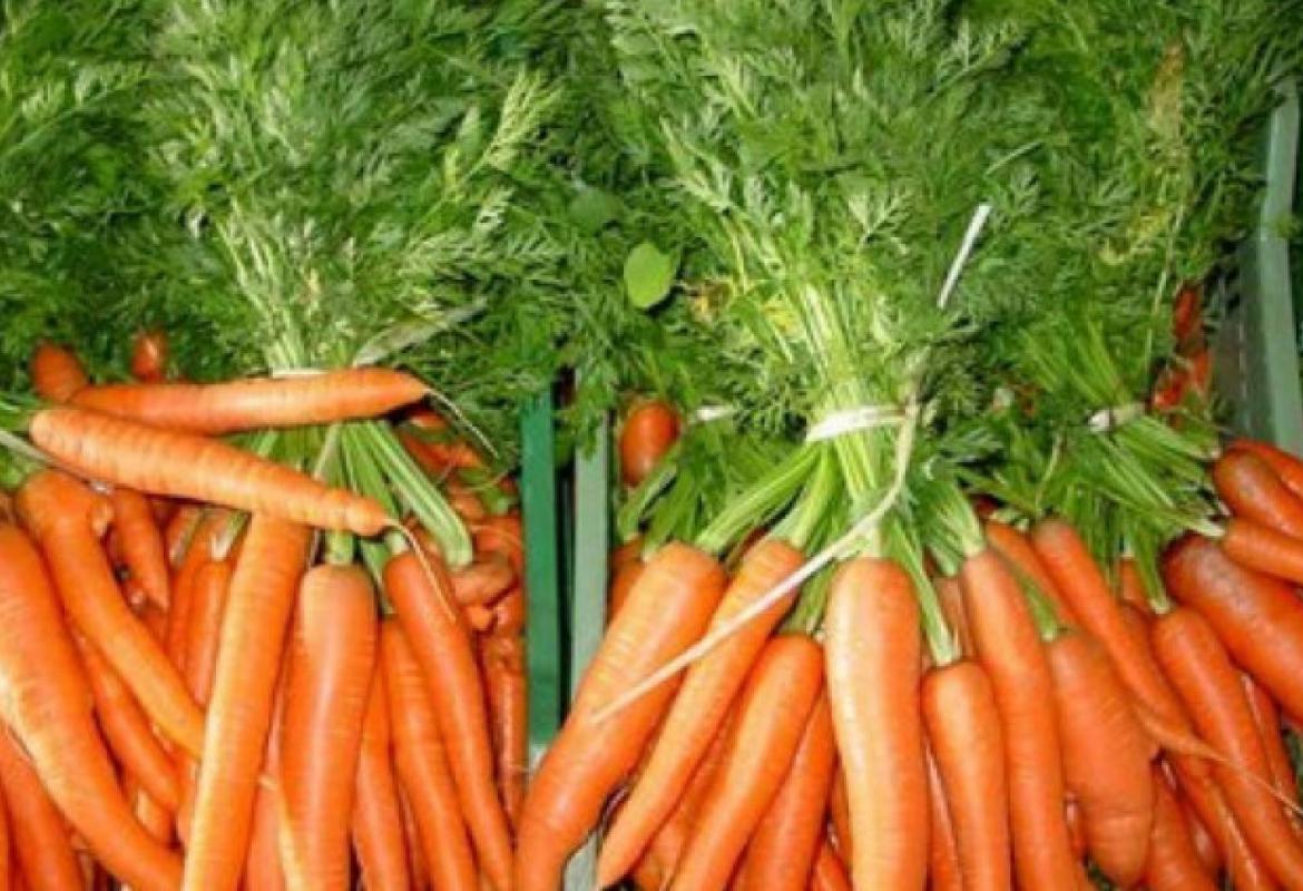 Mrkva krije tajne vitalnosti