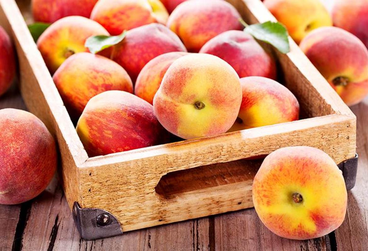 BILE SU SIMBOL BESMRTNOSTI I PRIJATELJSTVA: OVO SU SVE BLAGODATI JEDNE ...