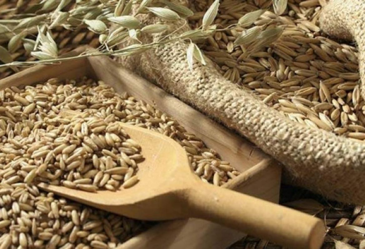 Pogledajte koja je najzdravija žitarica na svijetu