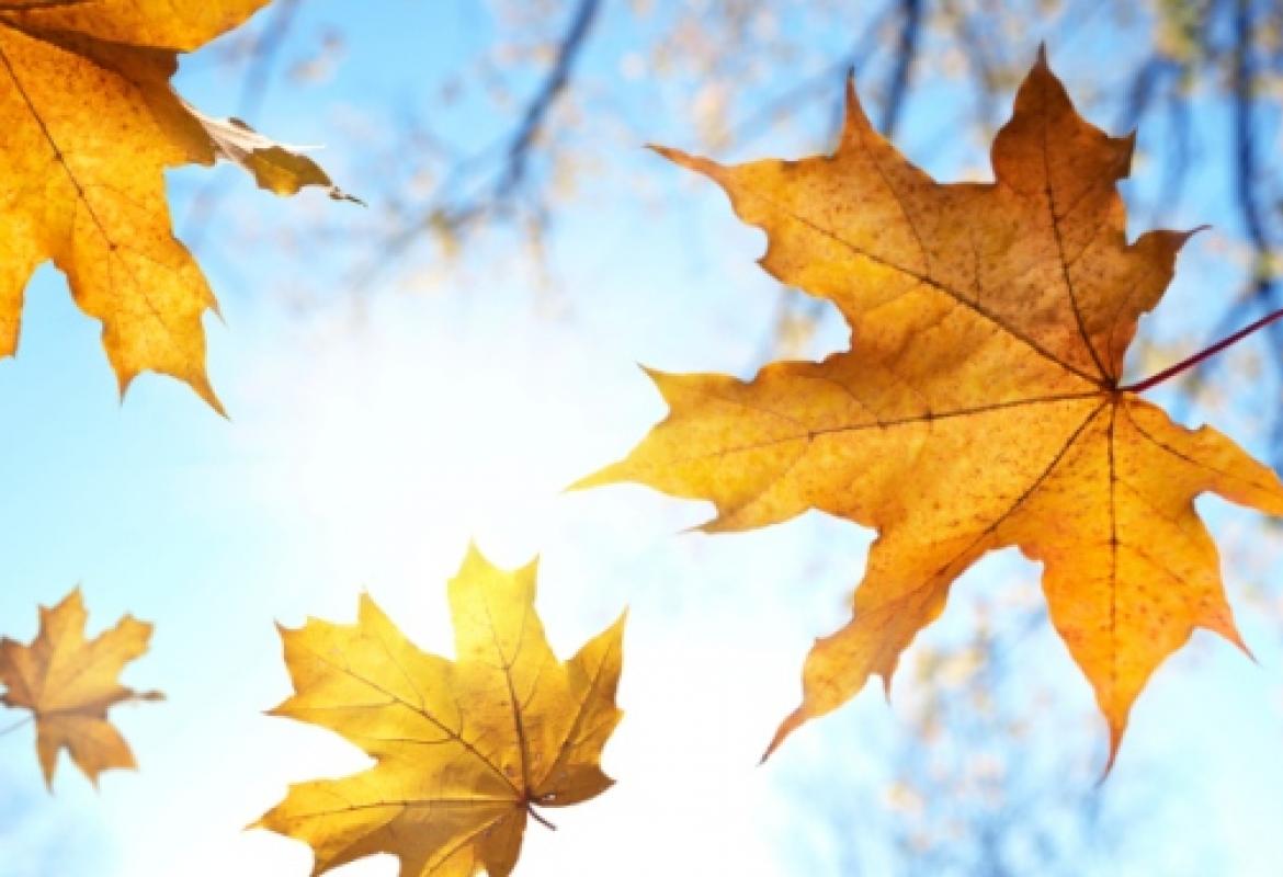 Doviđenja ljeto, danas počinje jesen: Dani postaju kraći