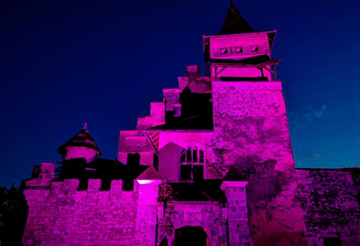 Stari grad Ostrožac obasjan roza bojom: Podizanje svijesti o raku dojke