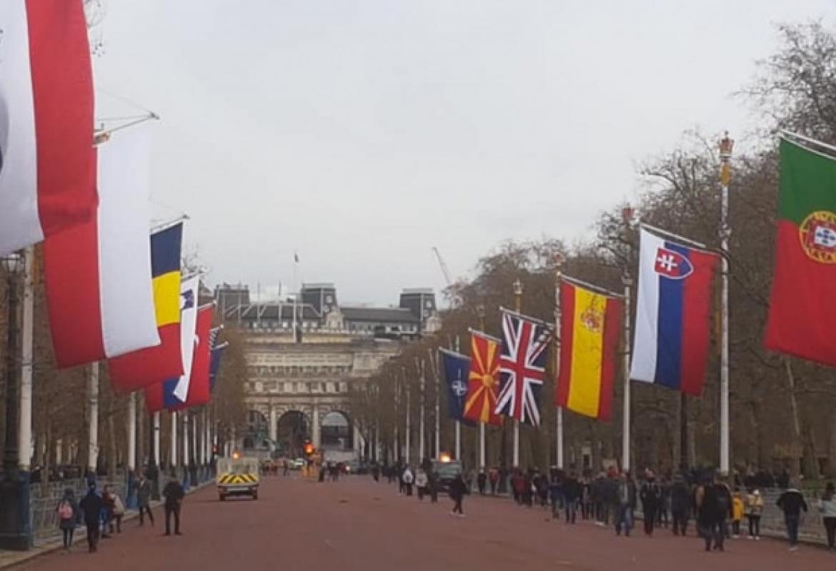 Zastava Sjeverne Makedonije podignuta zajedno sa zastavama zemalja ...