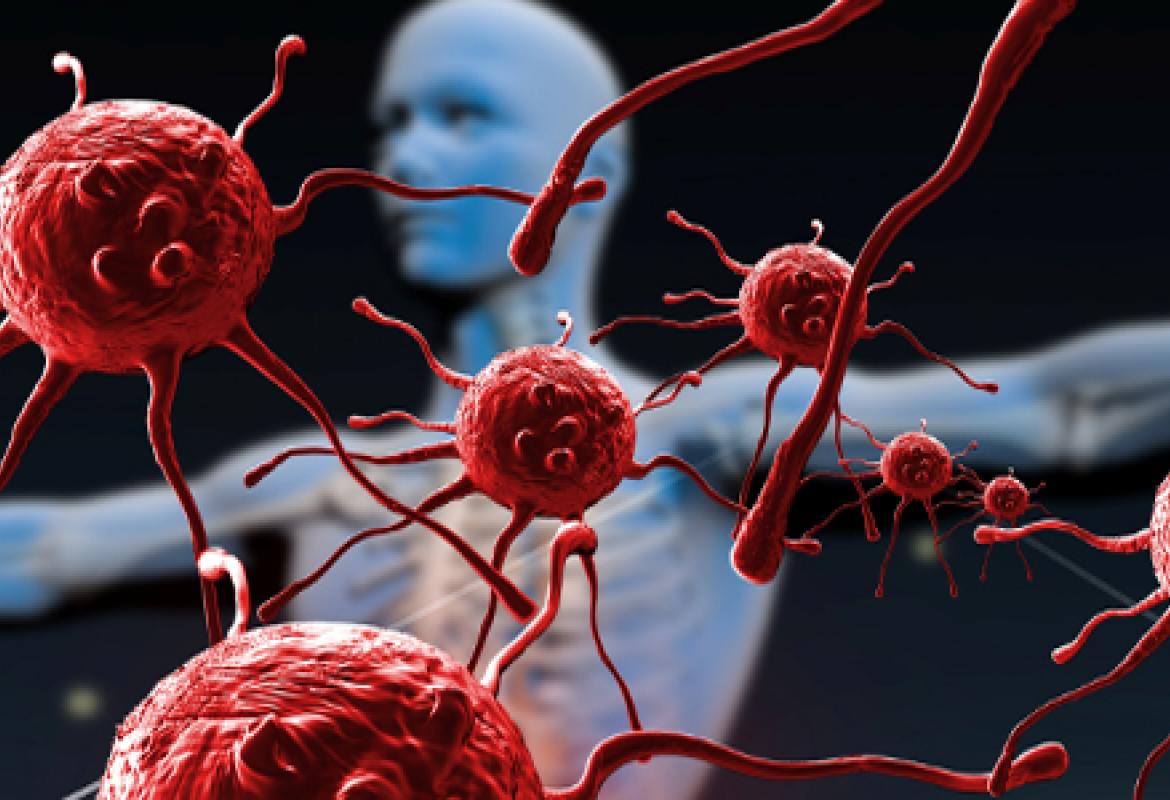 Allahovo čudo stvaranja – imuni sistem čovjeka