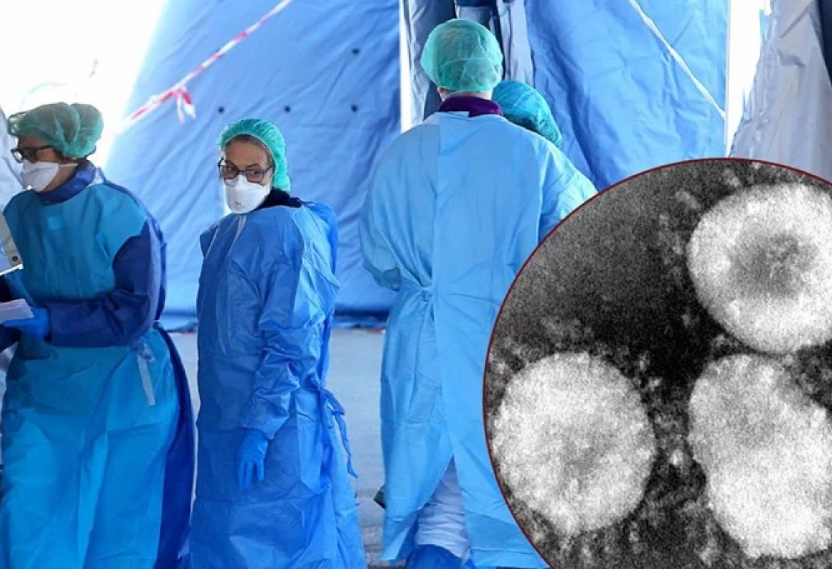 Novo otkriće njemačkih stručnjaka: Inkubacija može trajati puno duže od ...