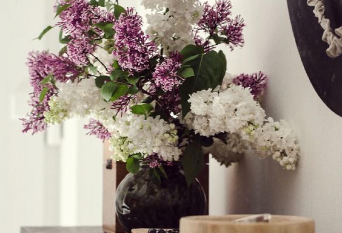 Jorgovan - kako kreirati neodoljivi buket od proljetnog klasika?