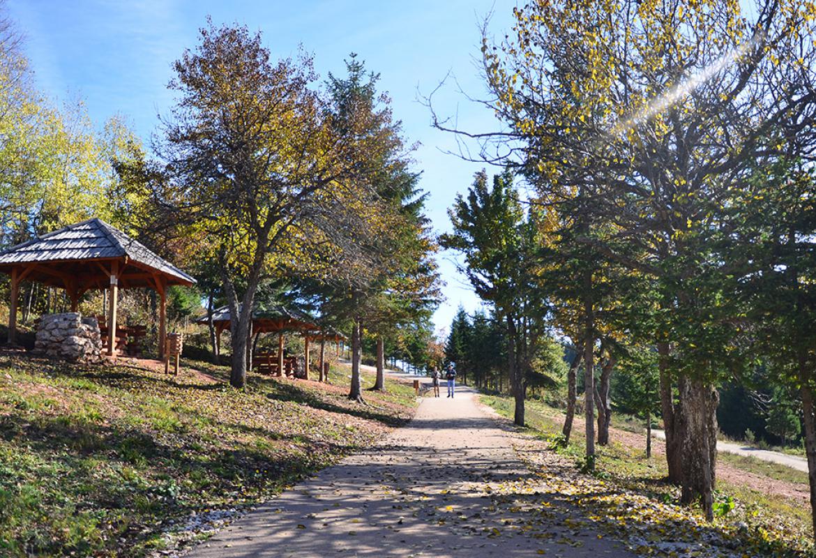 6 planina u BiH idealnih za ljetni odmor za cijelu porodicu