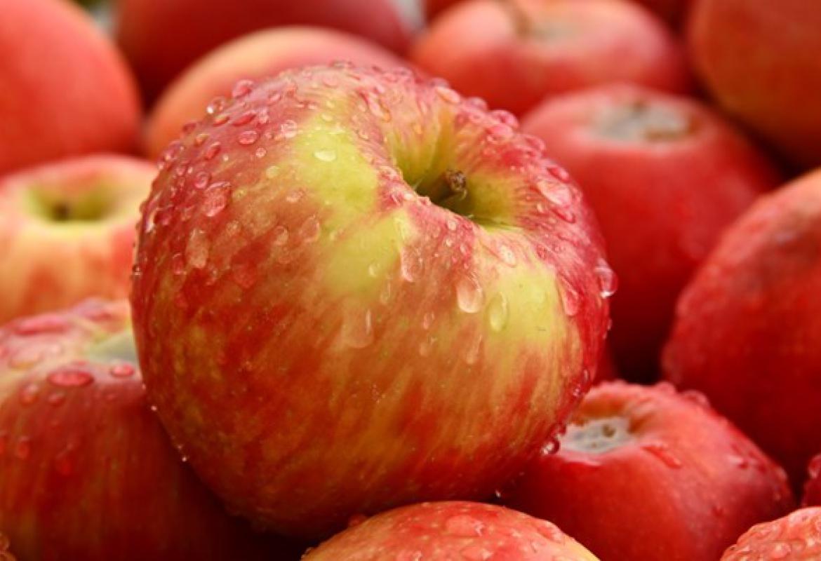 Šest razloga zbog kojih biste trebali jesti jabuke