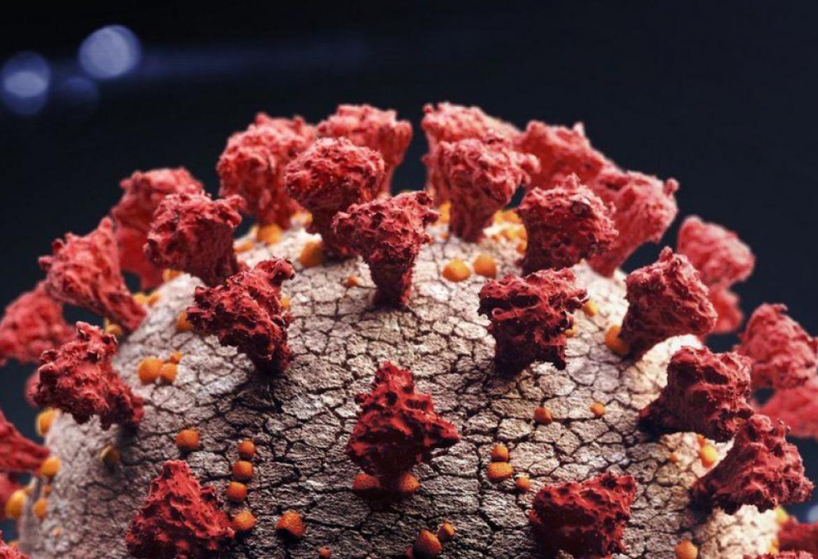 Od čega zavisi koliko će trajati antitijela na koronu i ko ih ima najmanje?