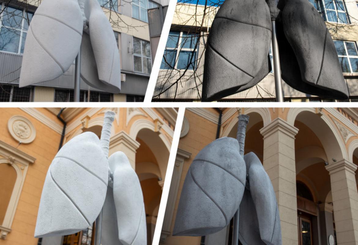 U Sarajevu postavljena Pluća grada: Pogledajte kako izgledaju nakon dva ...