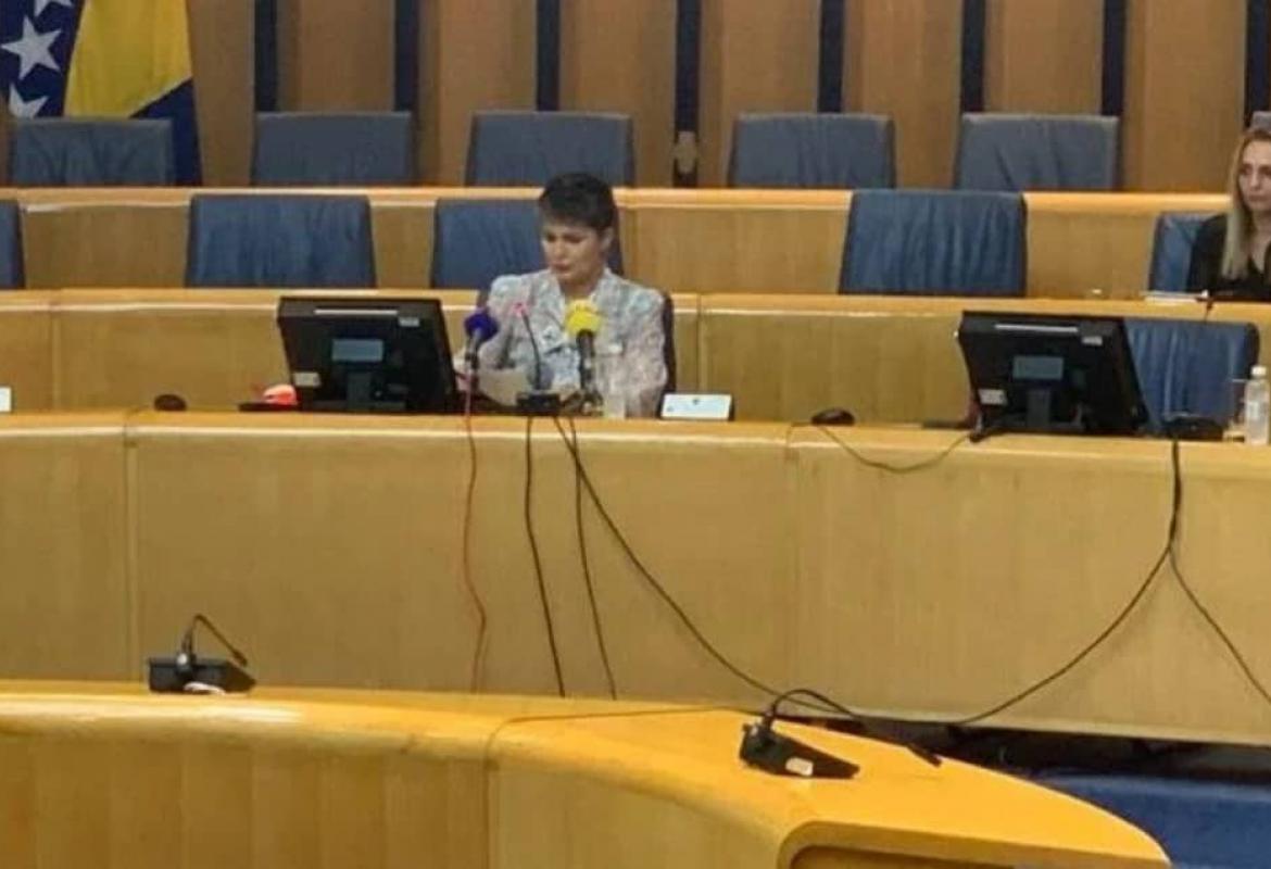 Bivša supruga ministra Košarca u Parlamentu govorila o nasilju ...