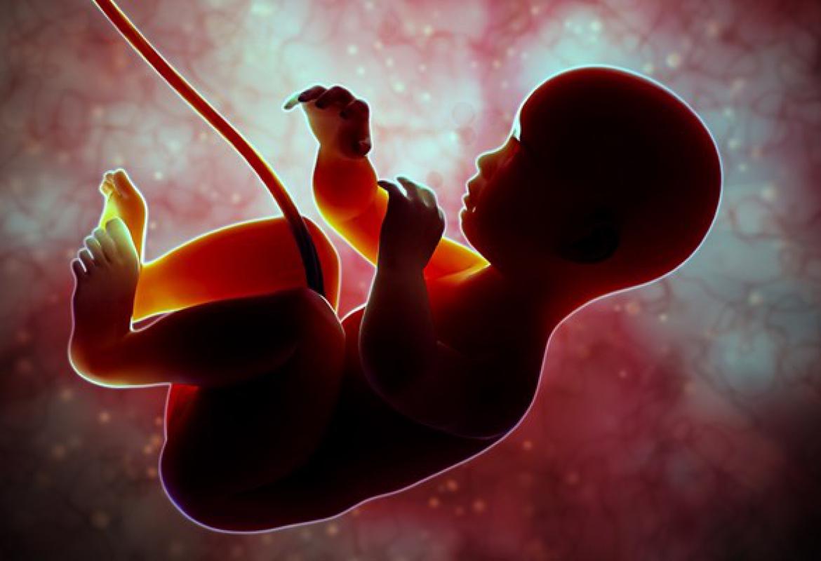 U organima fetusa pronađene čestice opasne za razvoj i život