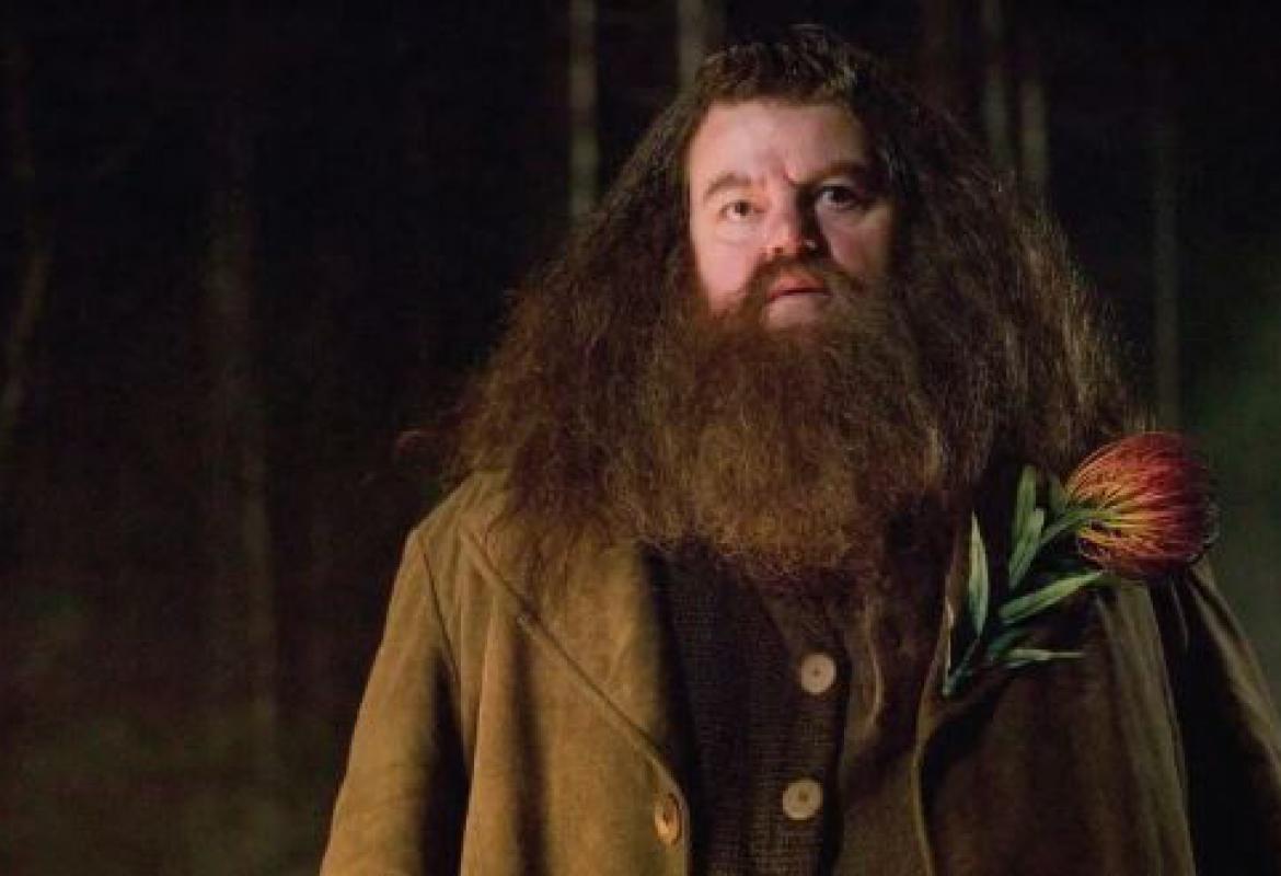 Glumac Coltrane zaradio je milione u filmu Harry Potter, a život proveo ...