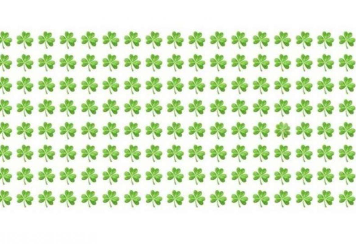 Testirajte svoje opažanje: Možete li pronaći djetelinu s četiri lista?