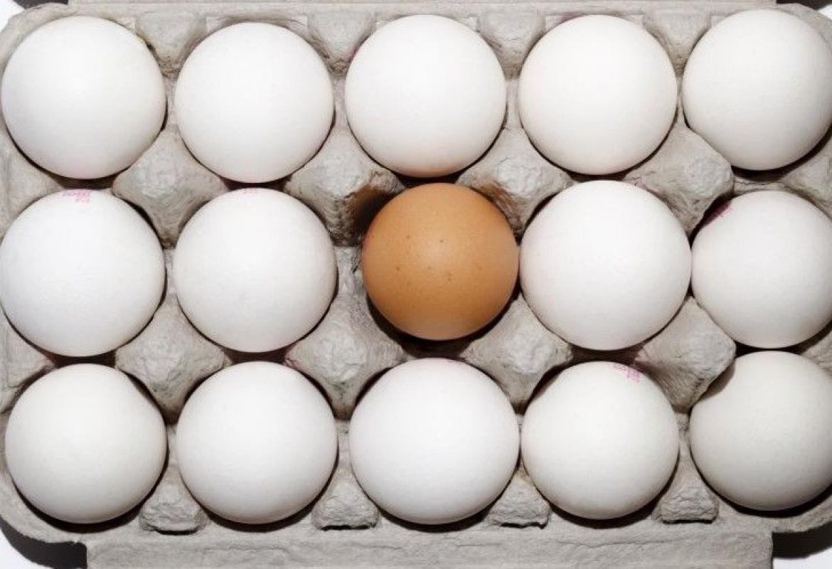 Koja je razlika između smeđih i bijelih jaja?