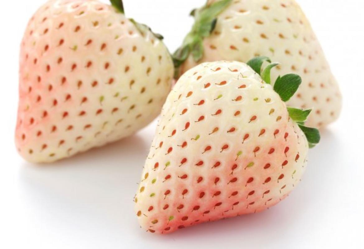 (VIDEO) Ovo su najneobičnije jagode na svijetu