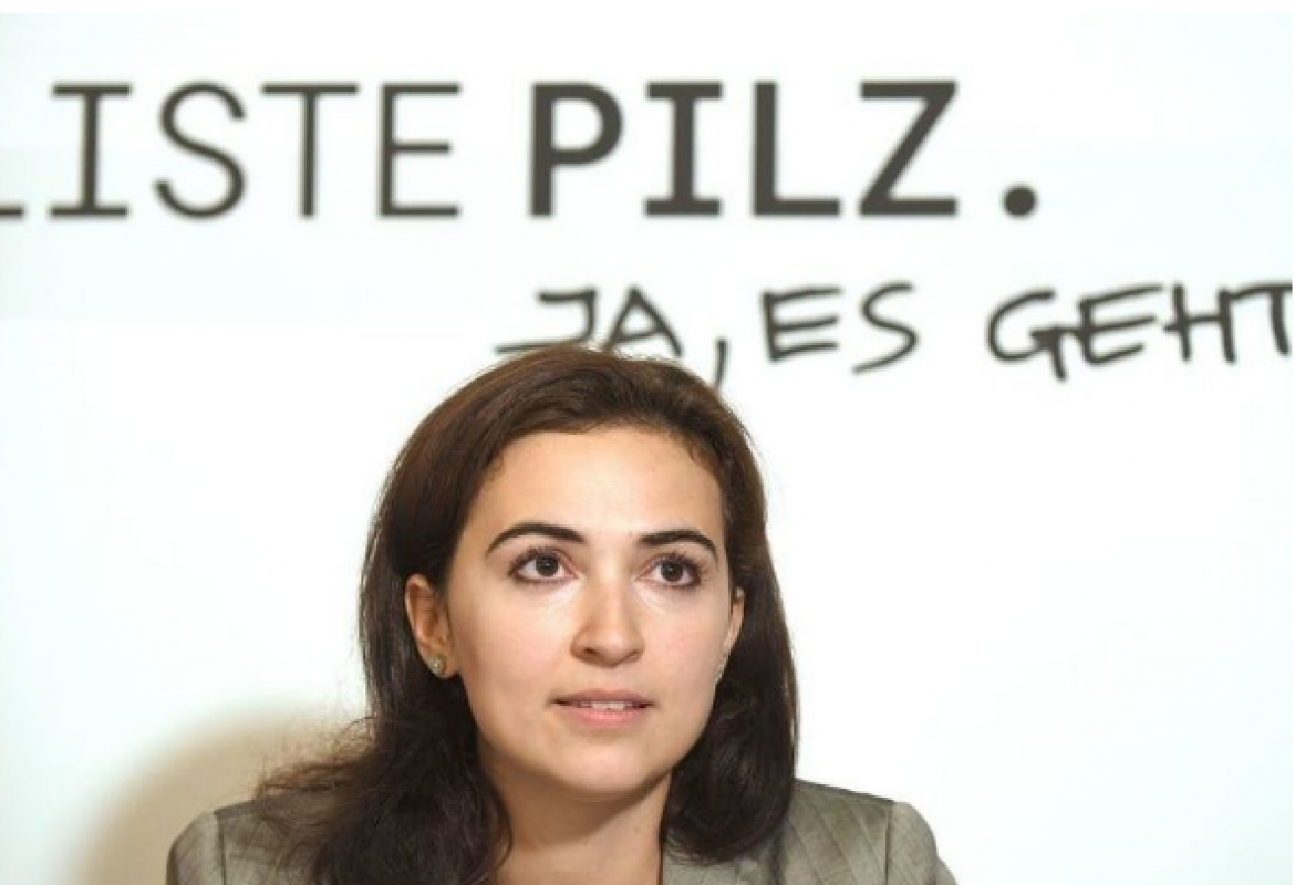 Alma Zadić je prva Bosanka koja je na izborima ušla u Parlament ...