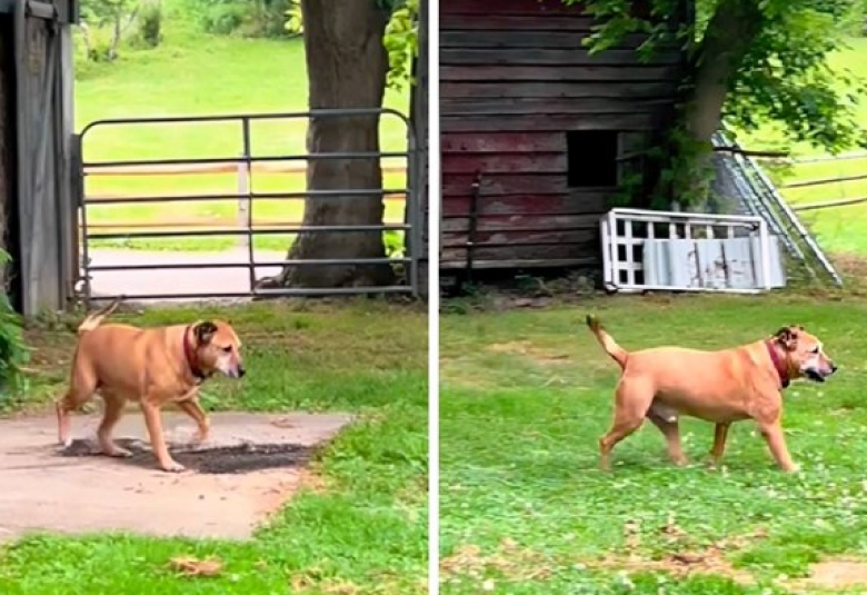 Cazin.NET - Budi informiran!